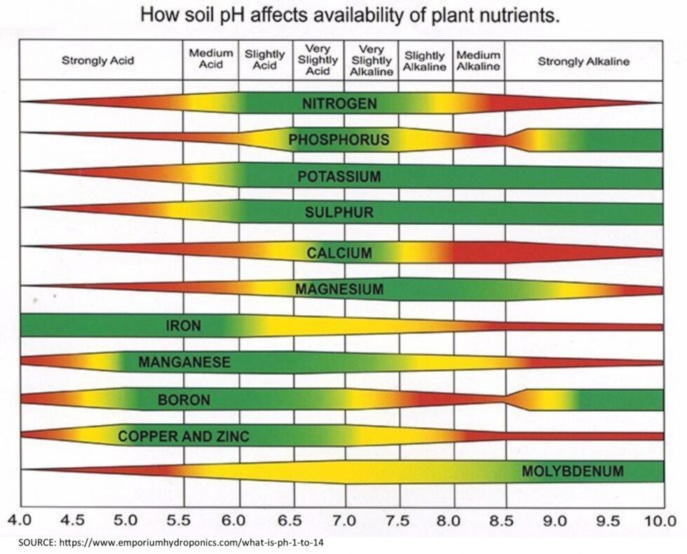 Diagrama de pH do solo x disponibilidade de nutrientes