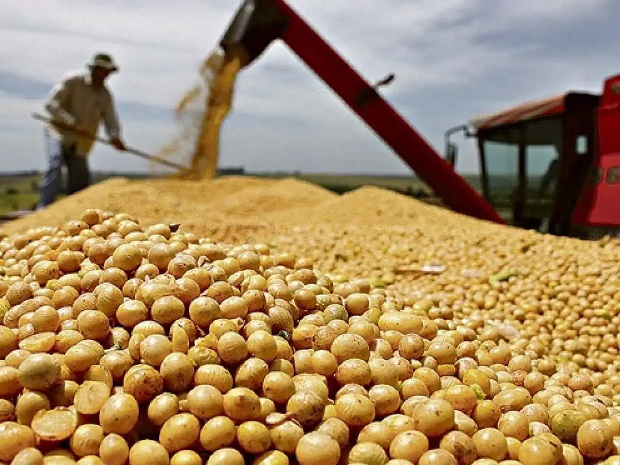 10 avarias os grãso: Soja ardida, mofada, fermentada...