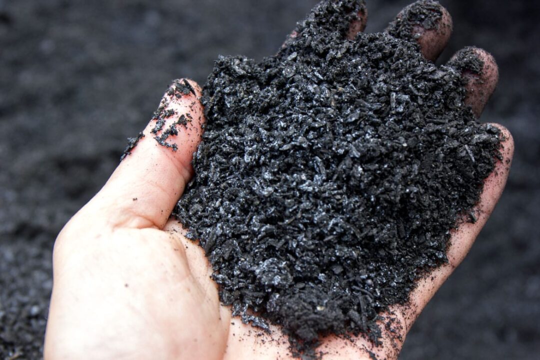 Biochar: O que é e qual seu potencial de uso na Agricultura?