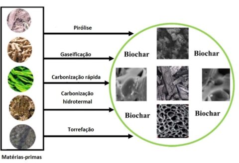 Biochar: O que é e qual seu potencial de uso na Agricultura?
