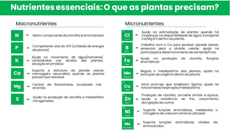 Os 3 critérios de essencialidade dos nutrientes precisam ser redefinidos? Os 3 critérios de essencialidade dos nutrientes precisam ser redefinidos?
