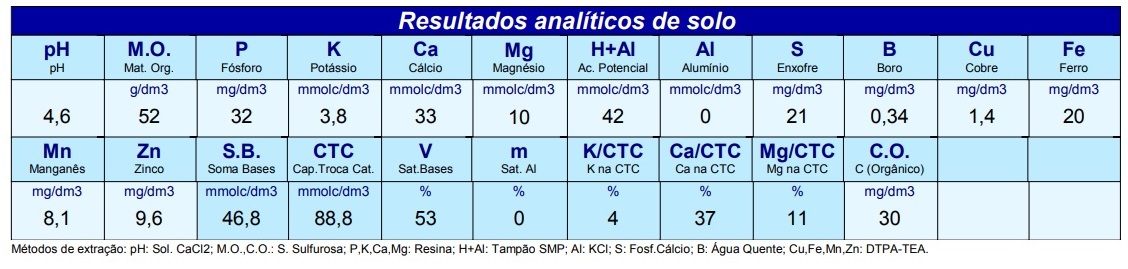 Guia para a interpretação da análise de solo em 4 passos