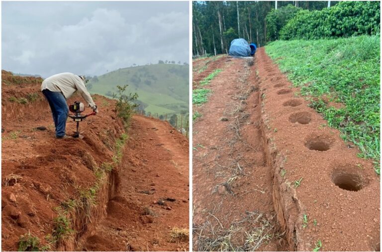 Plantio de café: 7 pontos relevantes | AGROADVANCE