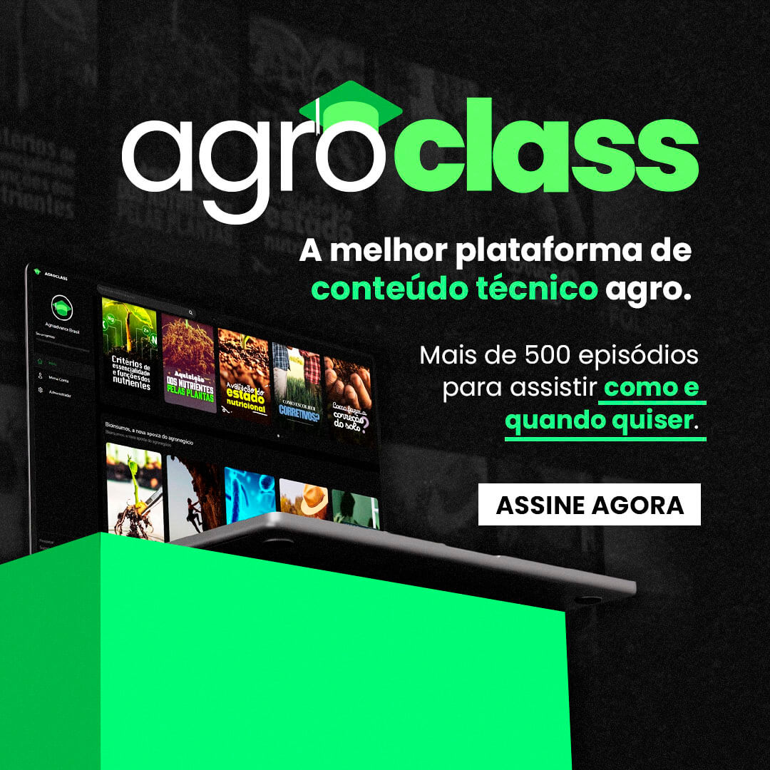 Plantio de café: 7 pontos relevantes - Agroadvance