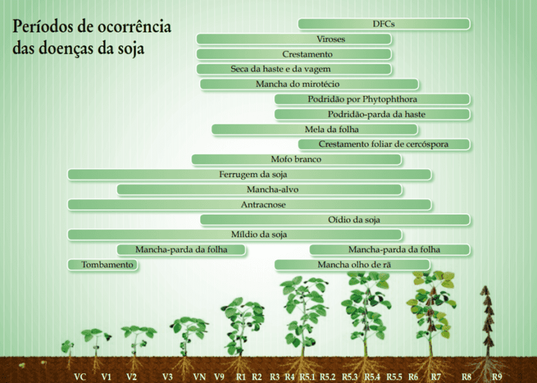 Cultura da soja: Guia com 8 sessões - Agroadvance