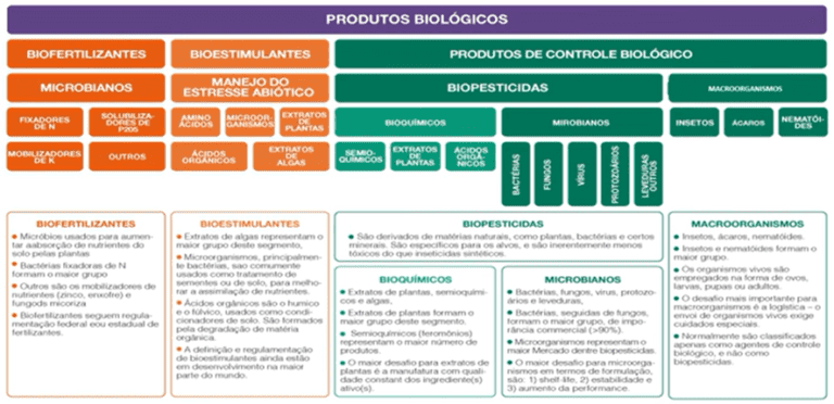 Produção de bioinsumos on farm: 8 pontos de atenção