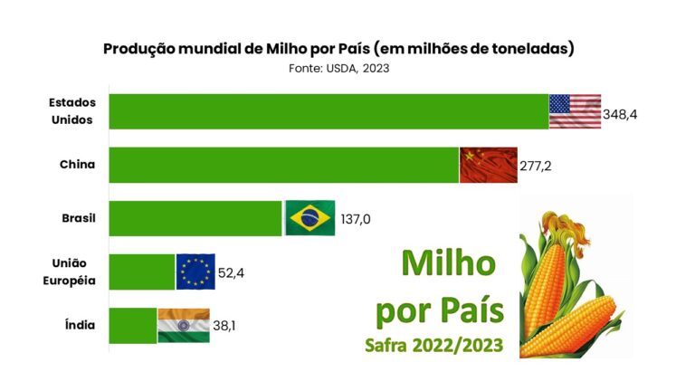 5 maiores produtores de milho do mundo na safra 2022/2023