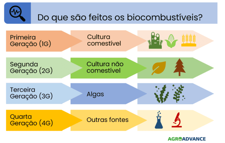 Biocombustíveis: conheça as 4 gerações