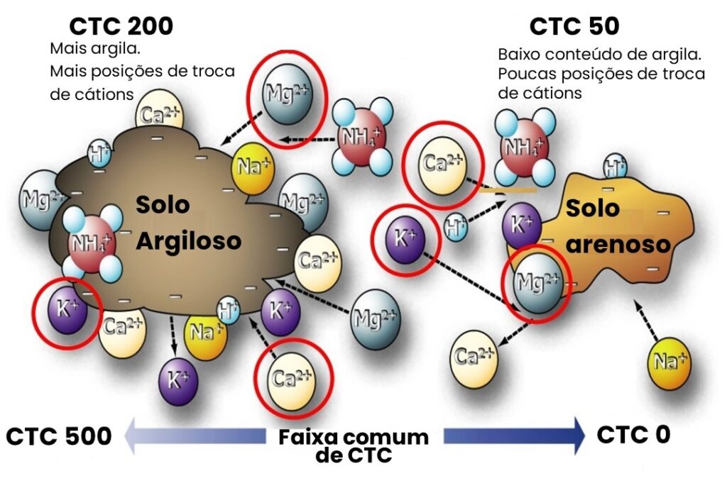 O que é a CTC do solo? entenda como calcular e manejar corretamente