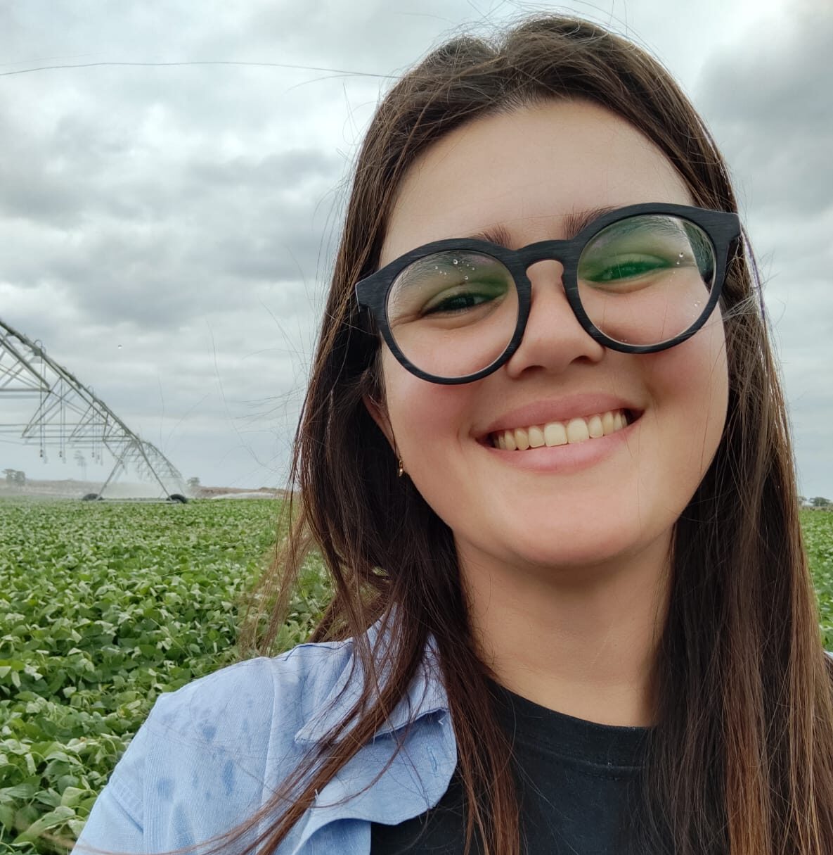 Escarificador ou subsolador: qual usar para descompactar o solo?