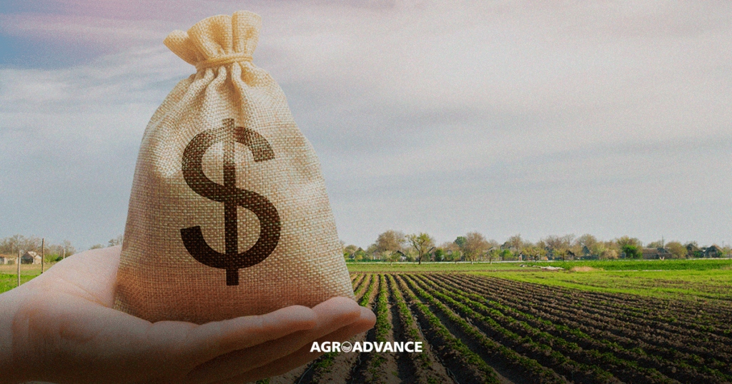 Crédito rural para iniciantes: entenda o Plano Safra 2024/2025