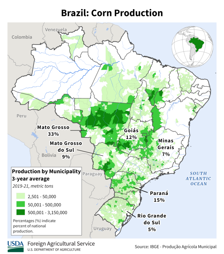 Produção de milho no Brasil 2024 | AGROADVANCE