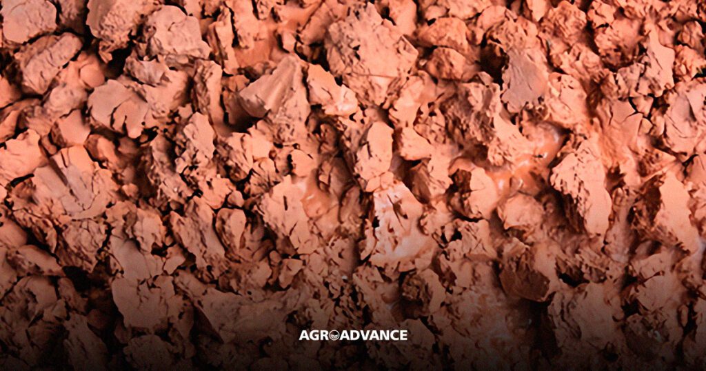 O que é Solo Argiloso? características e cuidados no manejo