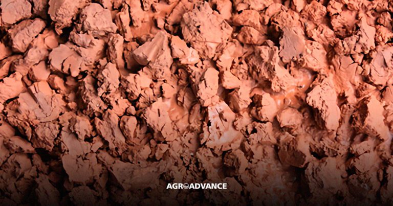 O que é Solo Argiloso? características e cuidados no manejo