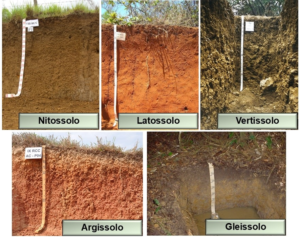 O que é Solo Argiloso? características e cuidados no manejo