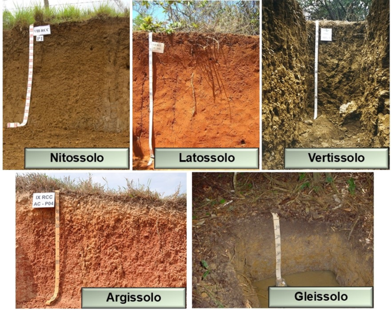 O que é Solo Argiloso? características e cuidados no manejo